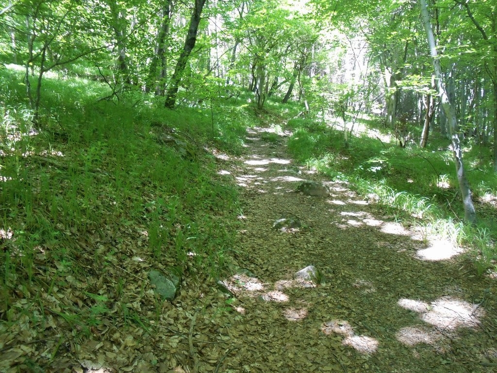 Example [#907] | O-Map Wiki