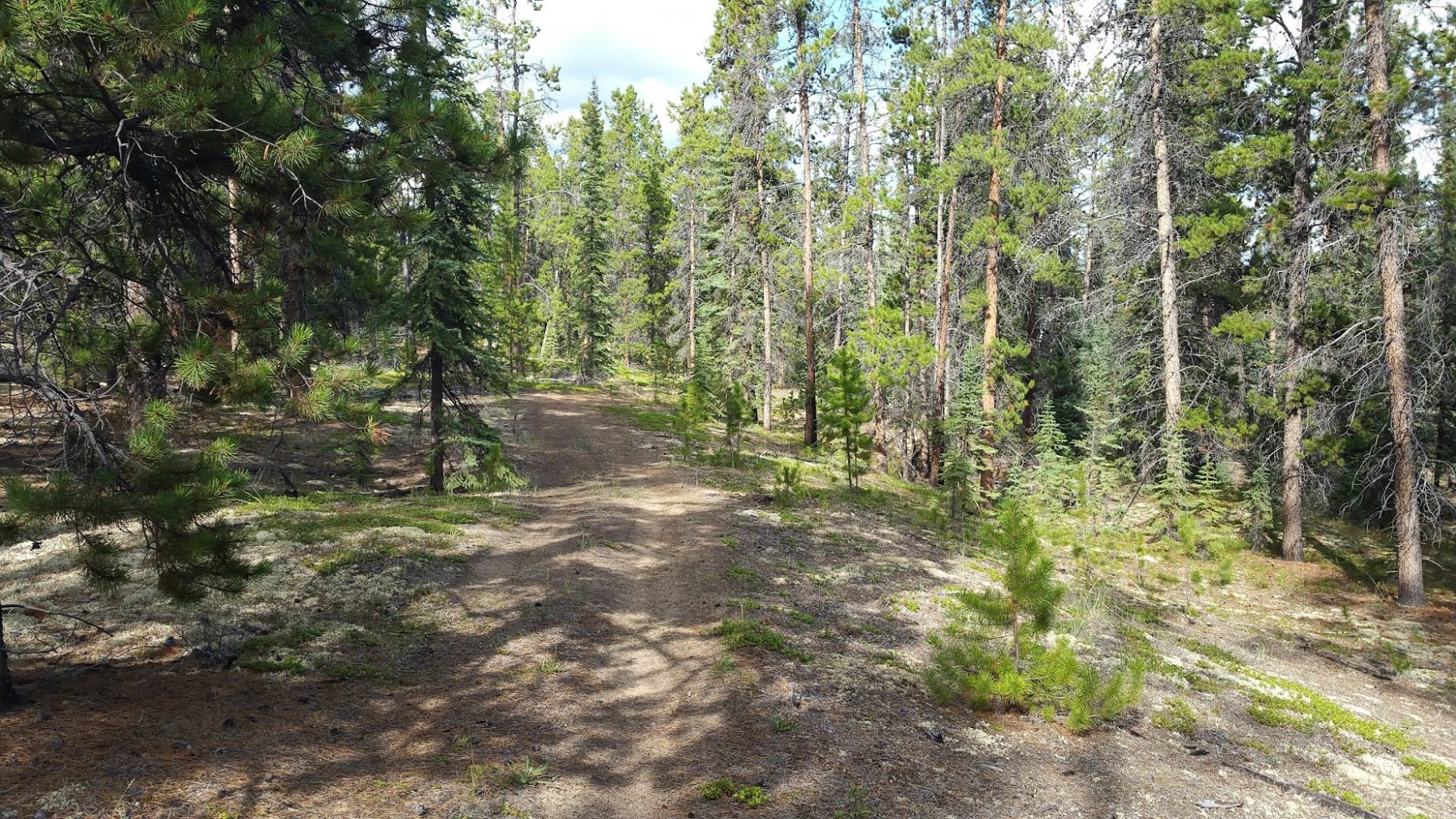 Example [#909] | O-Map Wiki