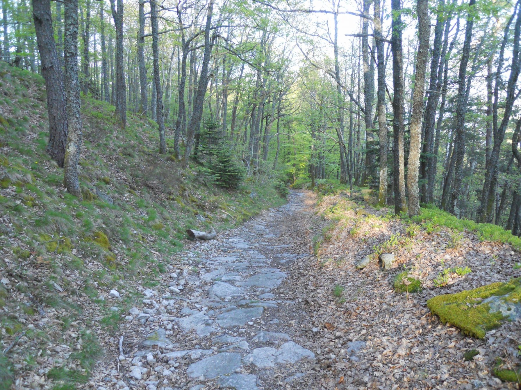 Example [#915] | O-Map Wiki