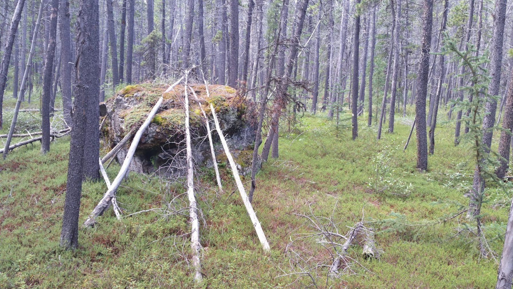 Example [#899] | O-Map Wiki