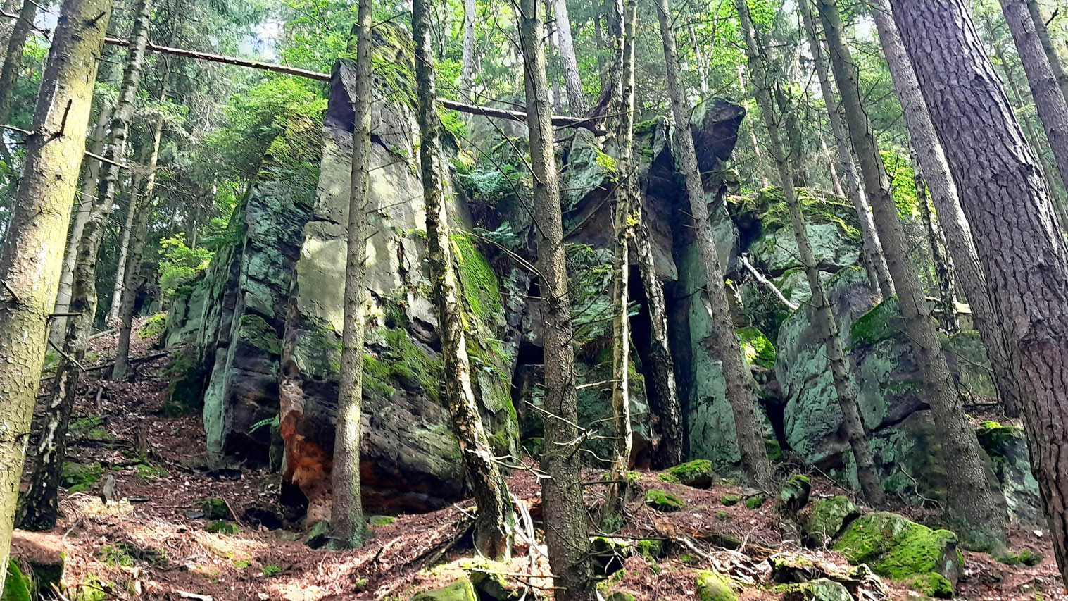 Example [#1392] | O-Map Wiki