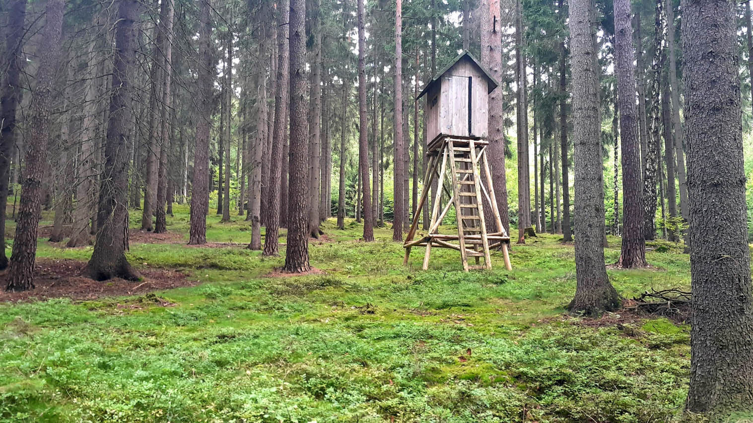 Example [#1386] | O-Map Wiki