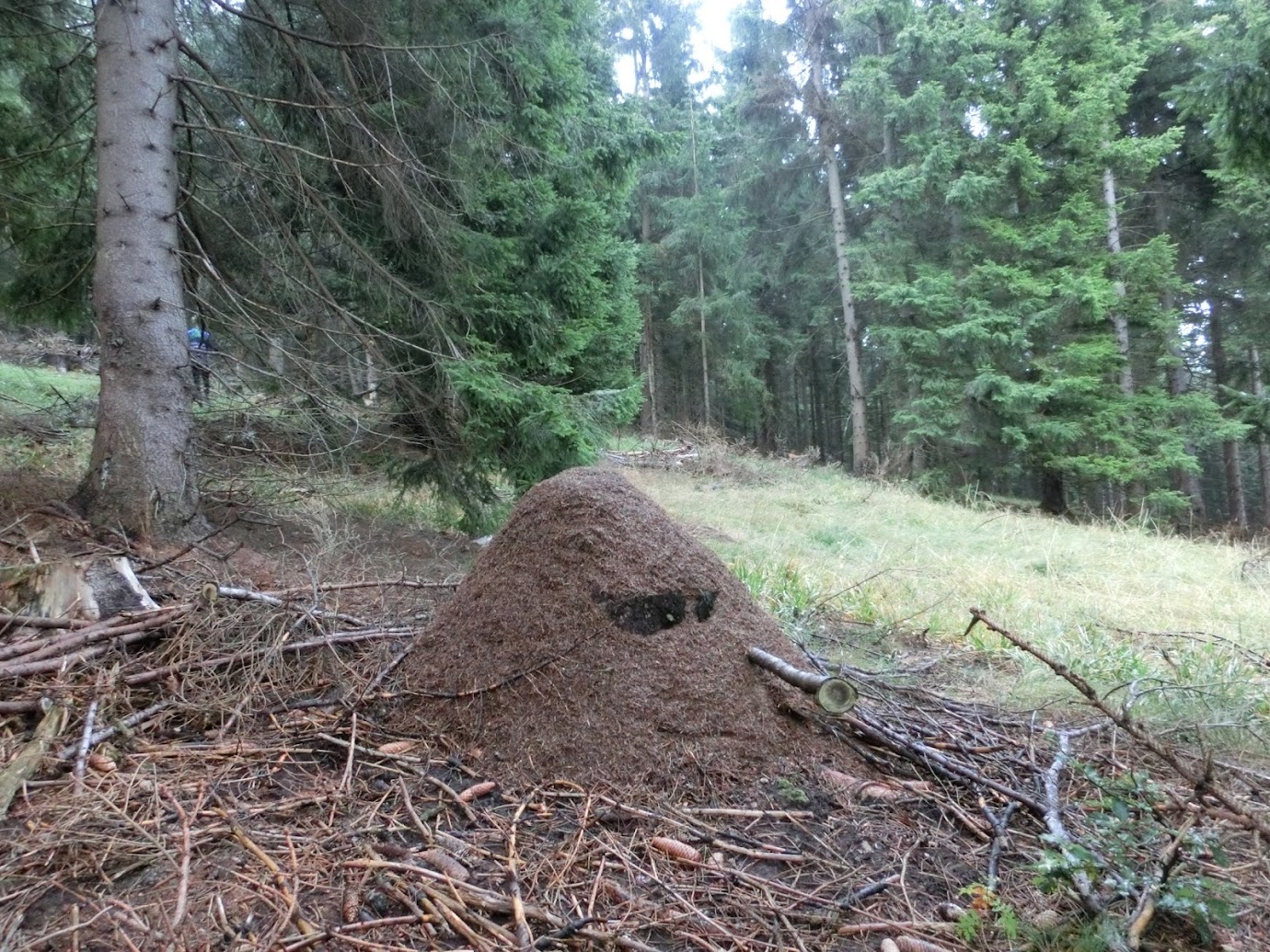 Example [#1683] | O-Map Wiki