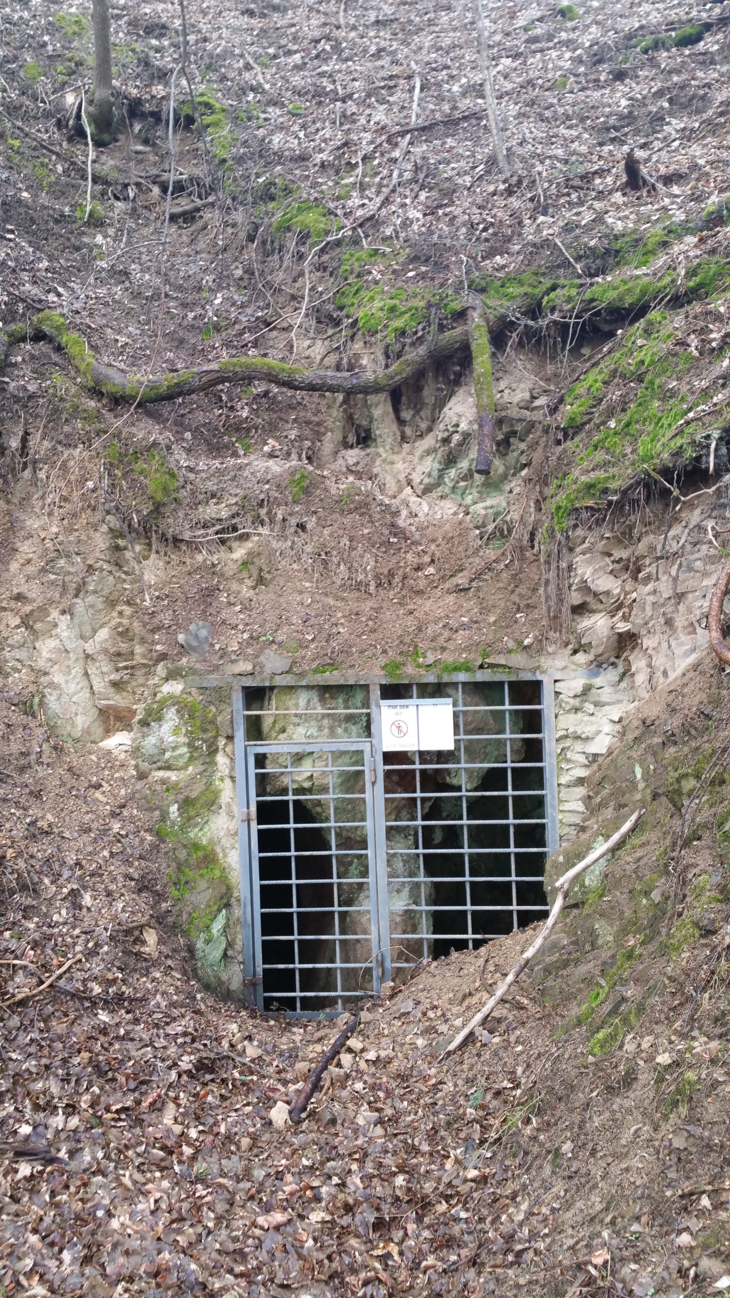 Example [#1436] | O-Map Wiki