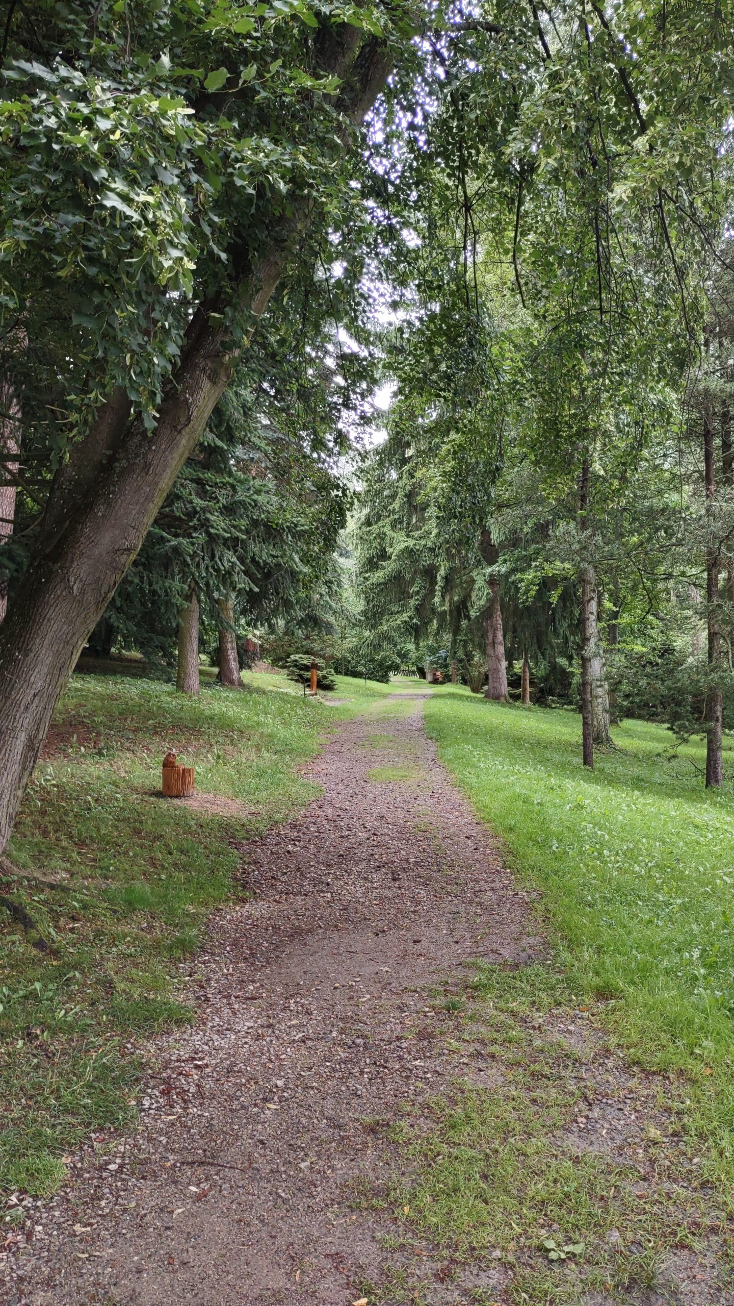 Example [#1451] | O-Map Wiki