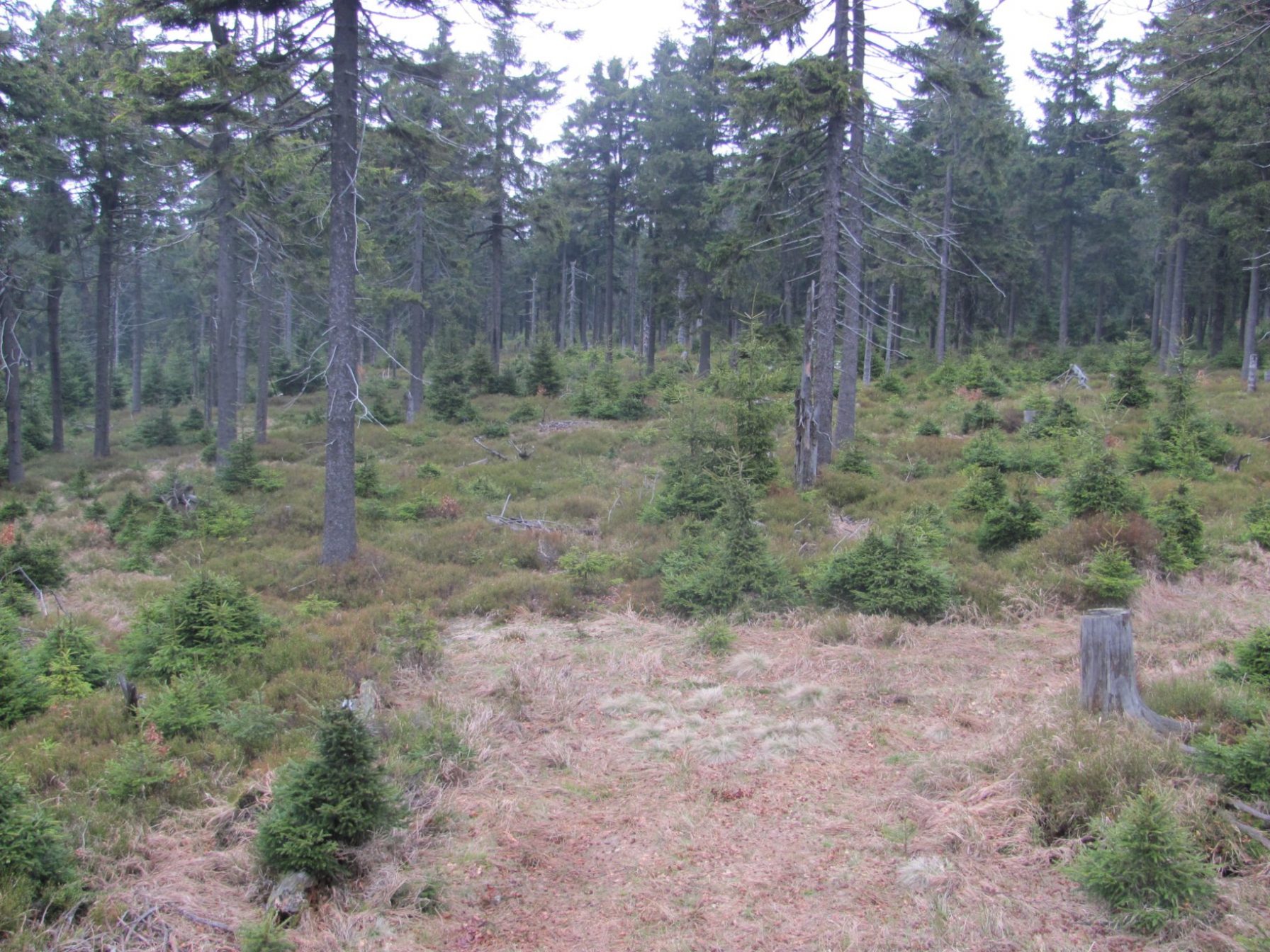 Example [#1512] | O-Map Wiki