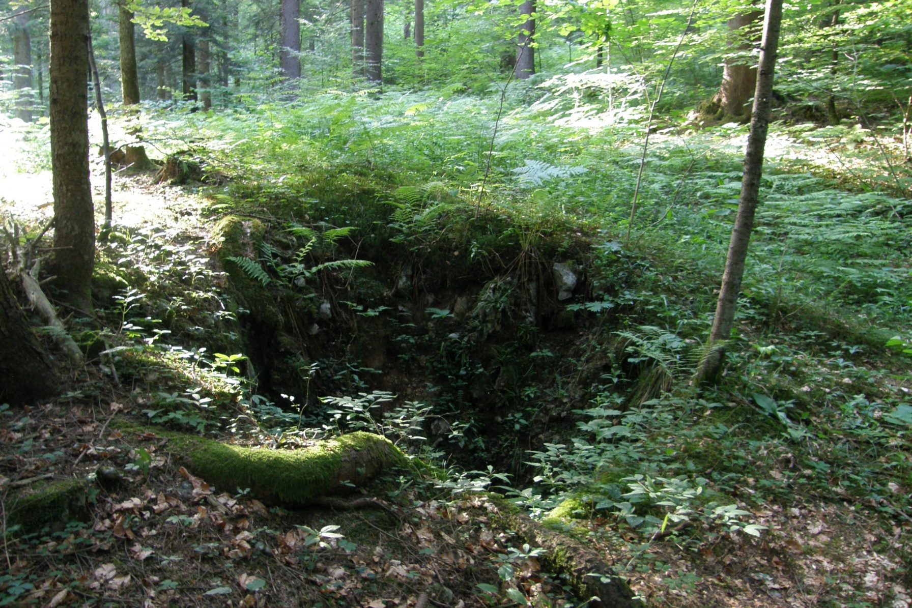 Example [#1725] | O-Map Wiki