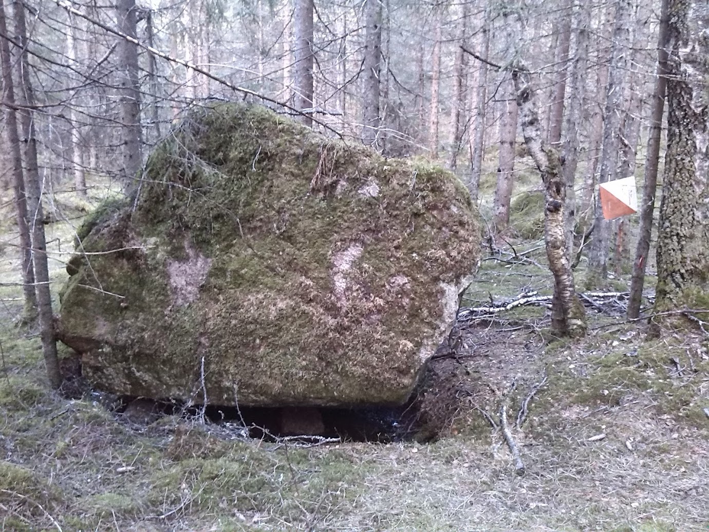 Example [#1254] | O-Map Wiki