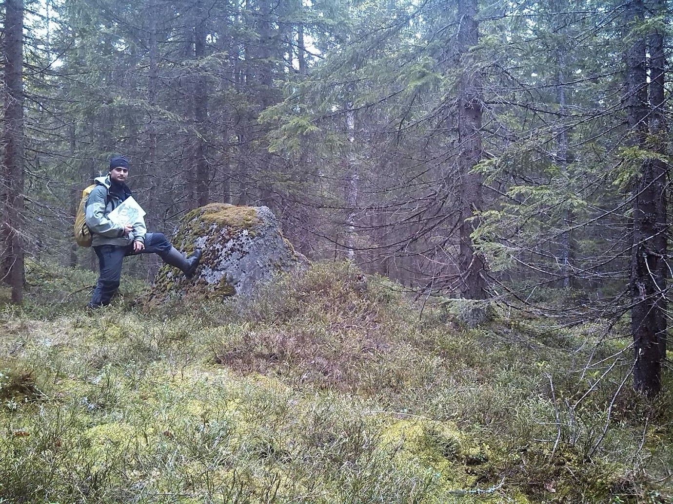 Example [#1254] | O-Map Wiki