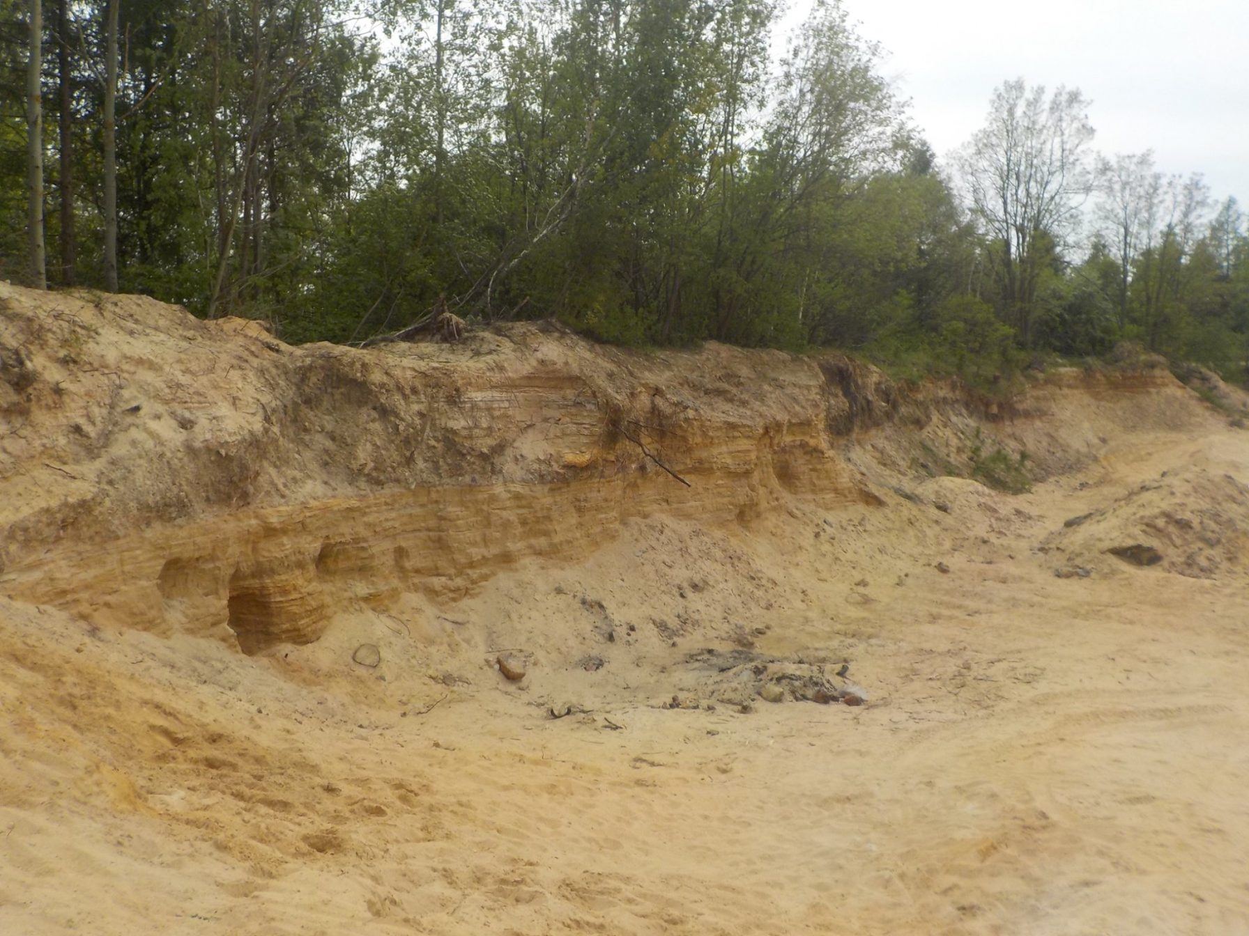 Example [#1967] | O-Map Wiki