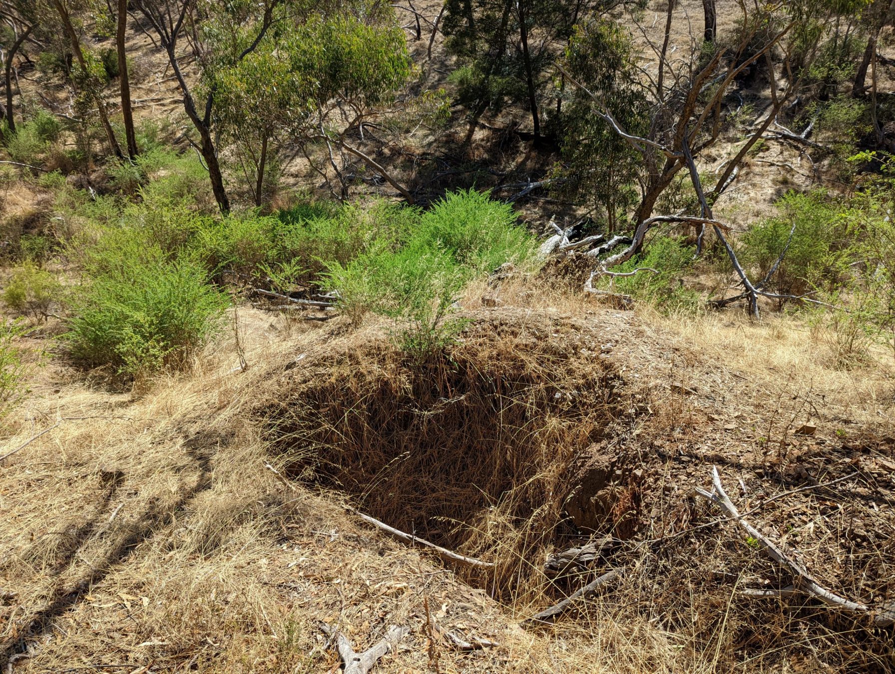 Example [#2049] | O-Map Wiki