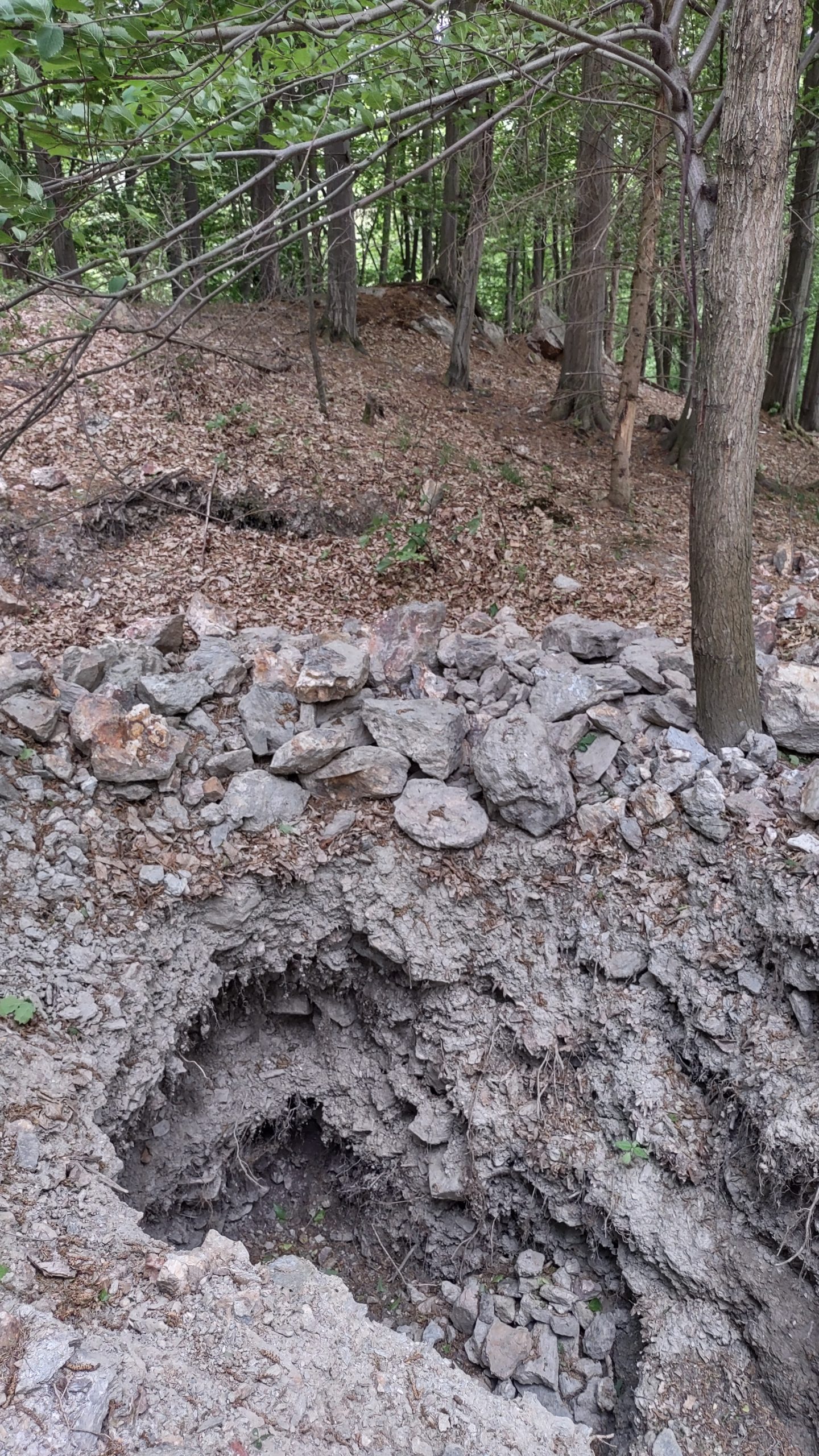 Example [#2194] | O-Map Wiki