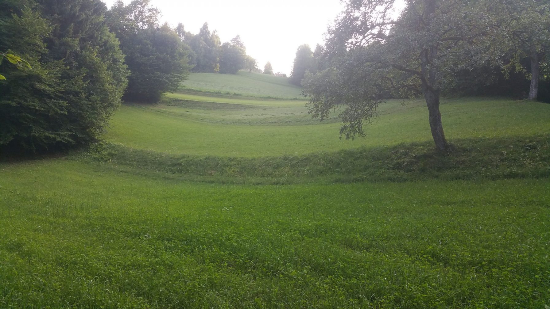 Example [#2281] | O-Map Wiki