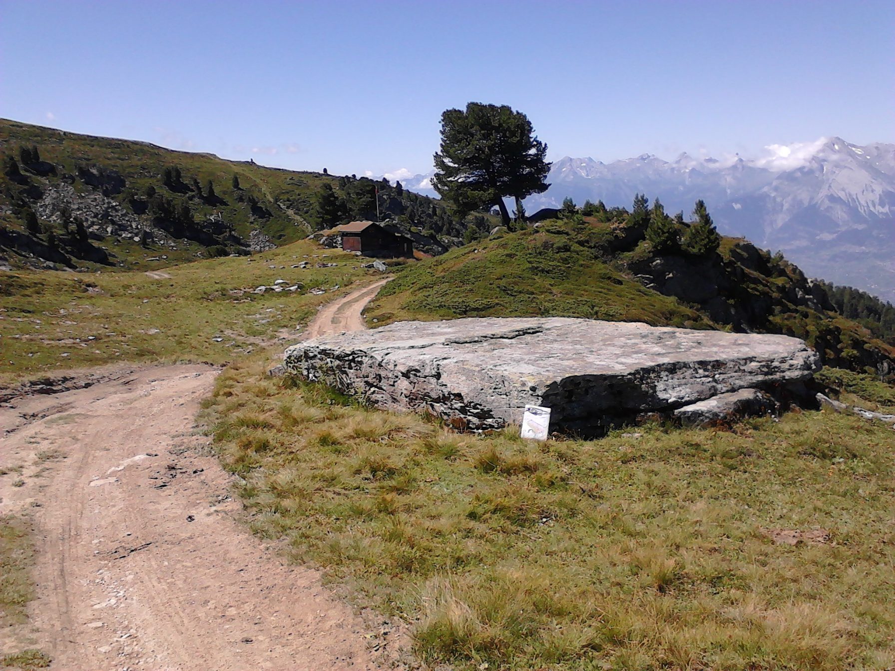 Example [#2297] | O-Map Wiki