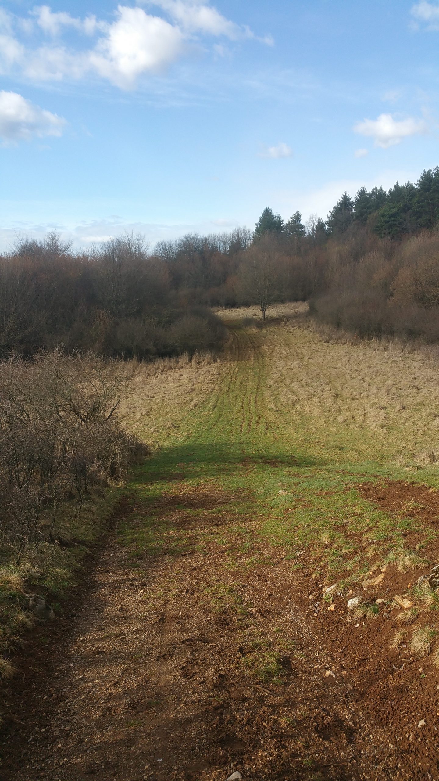 Example [#2392] | O-Map Wiki