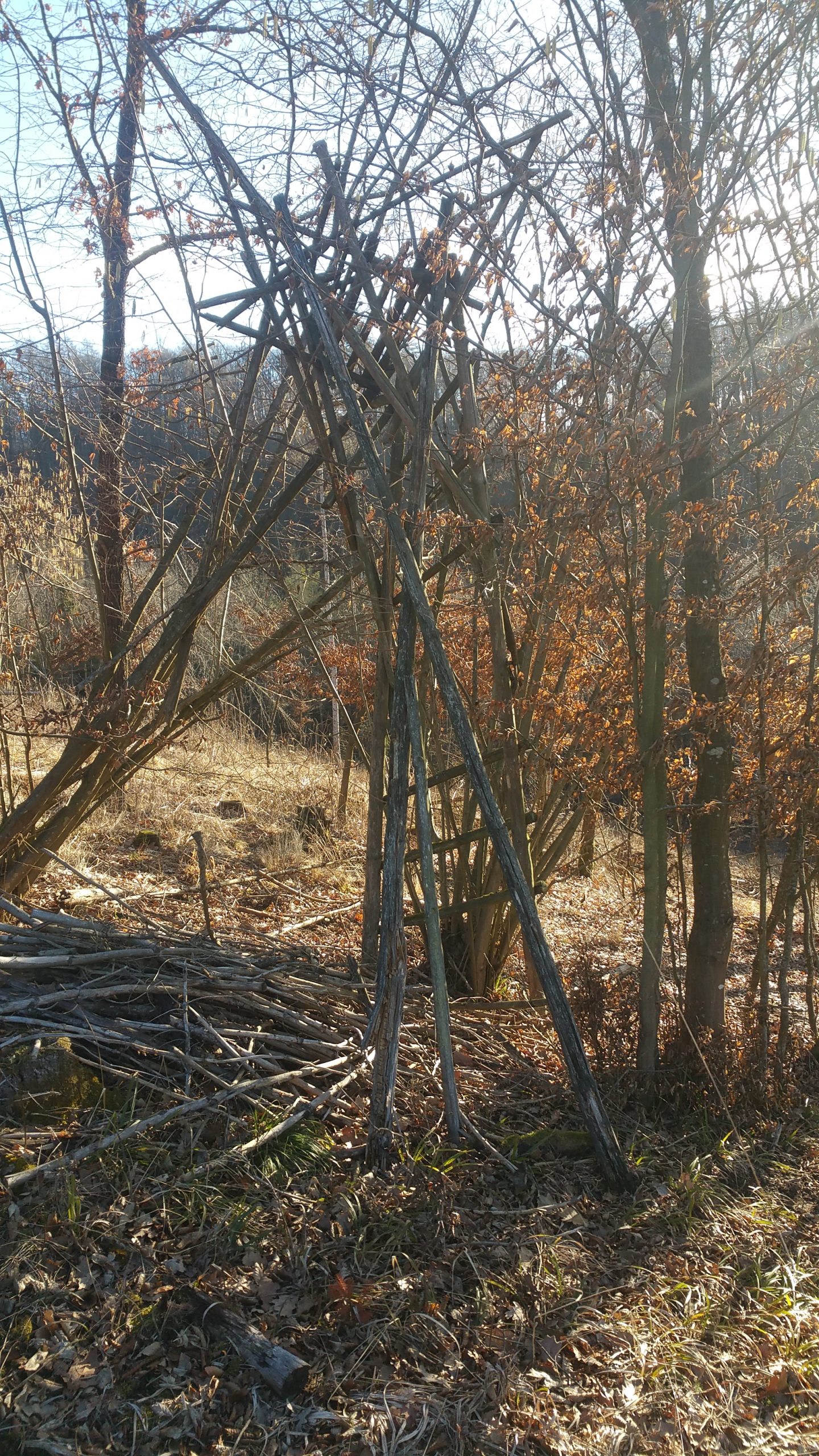 Example [#2442] | O-Map Wiki