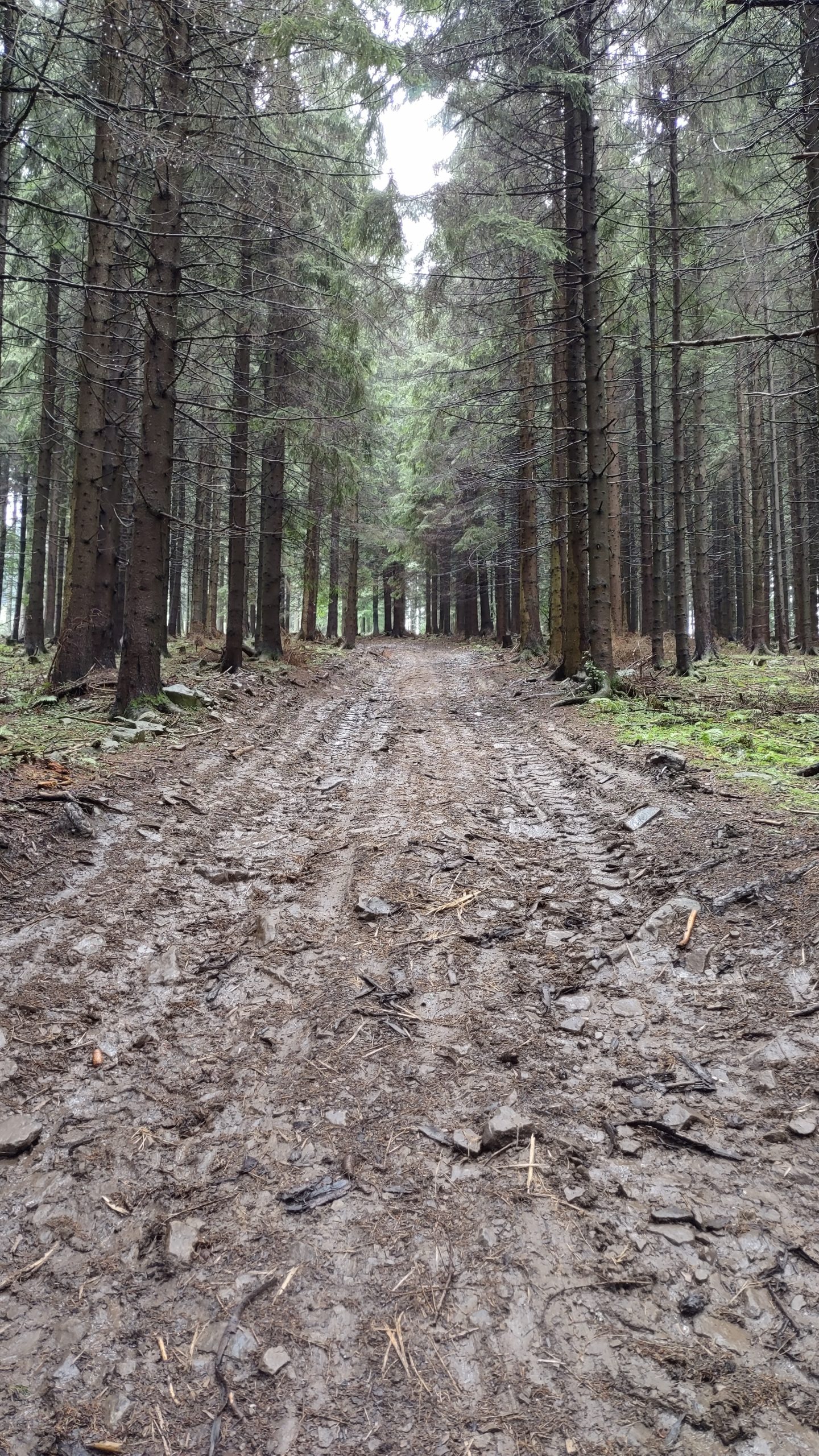 Example [#2725] | O-Map Wiki