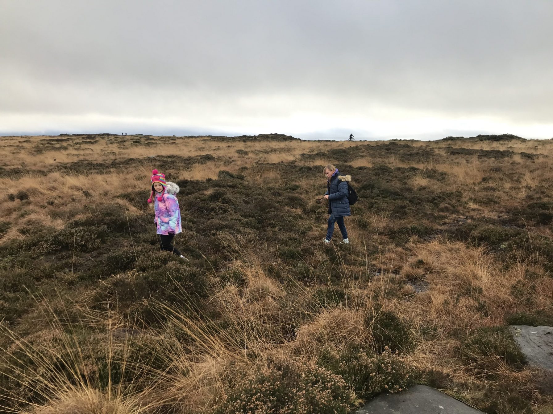 Example [#2960] | O-Map Wiki