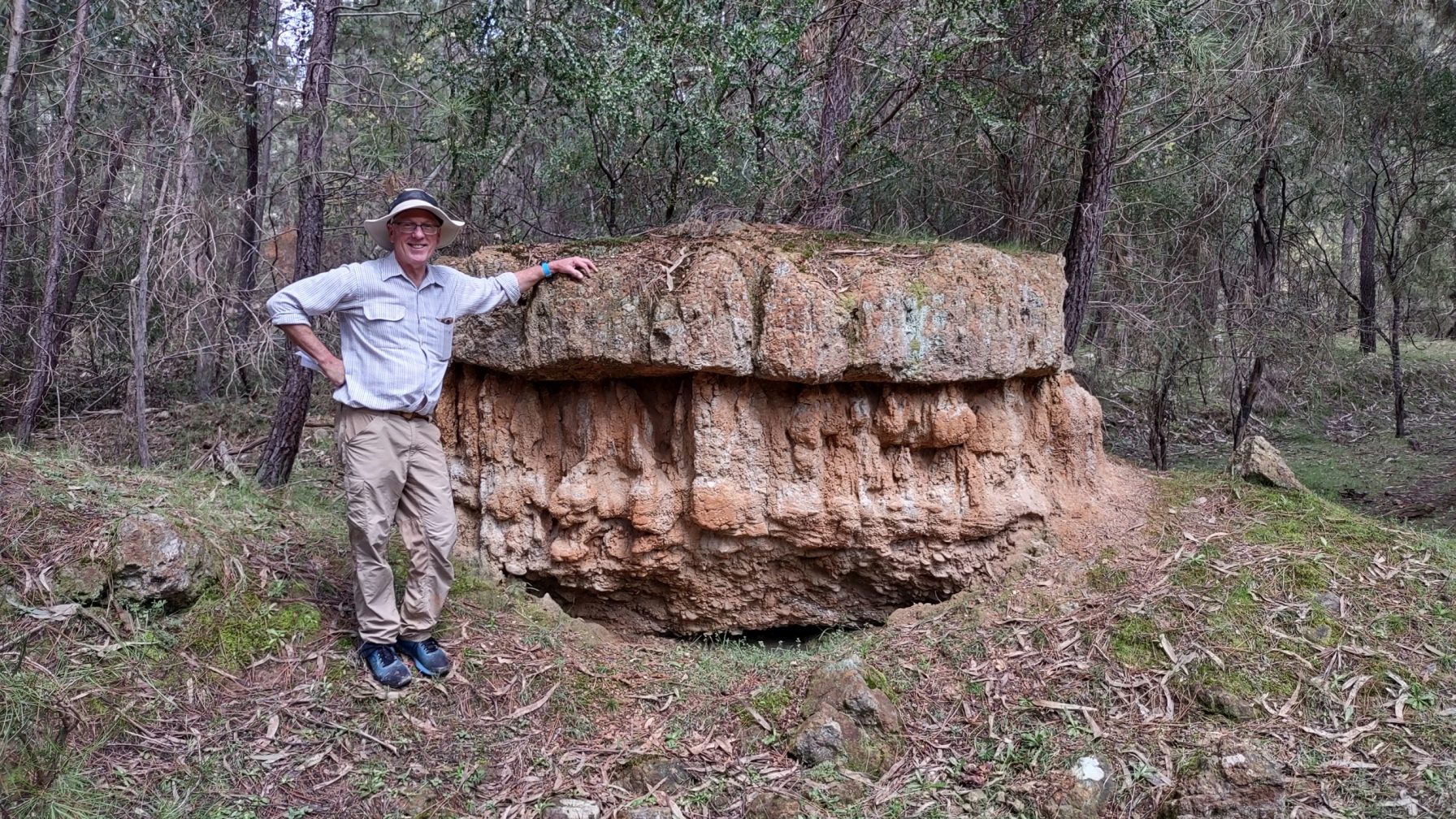 Example [#3005] | O-Map Wiki