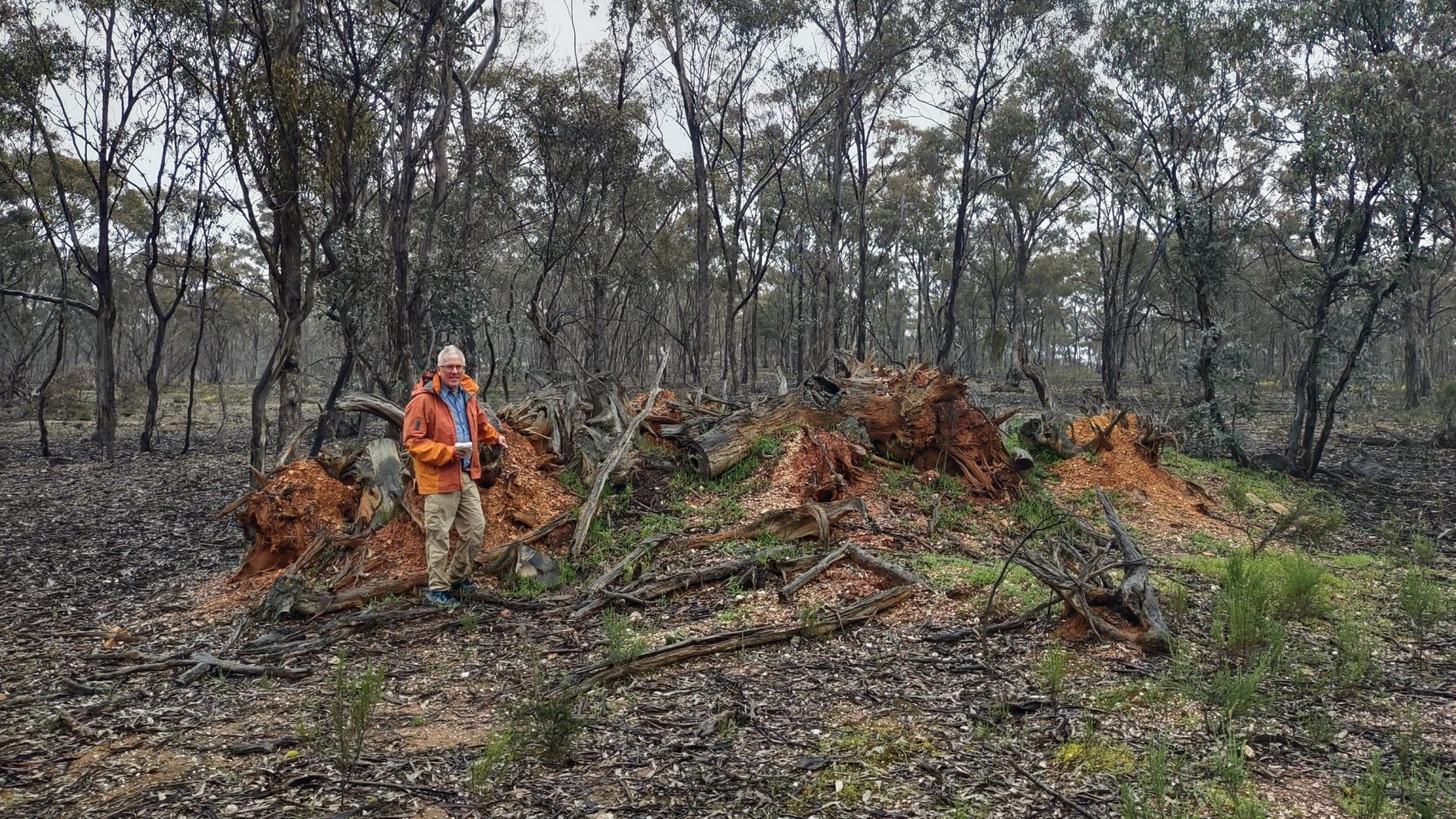 Example [#3070] | O-Map Wiki