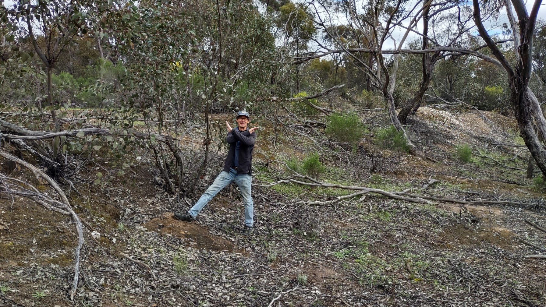 Example [#2990] | O-Map Wiki