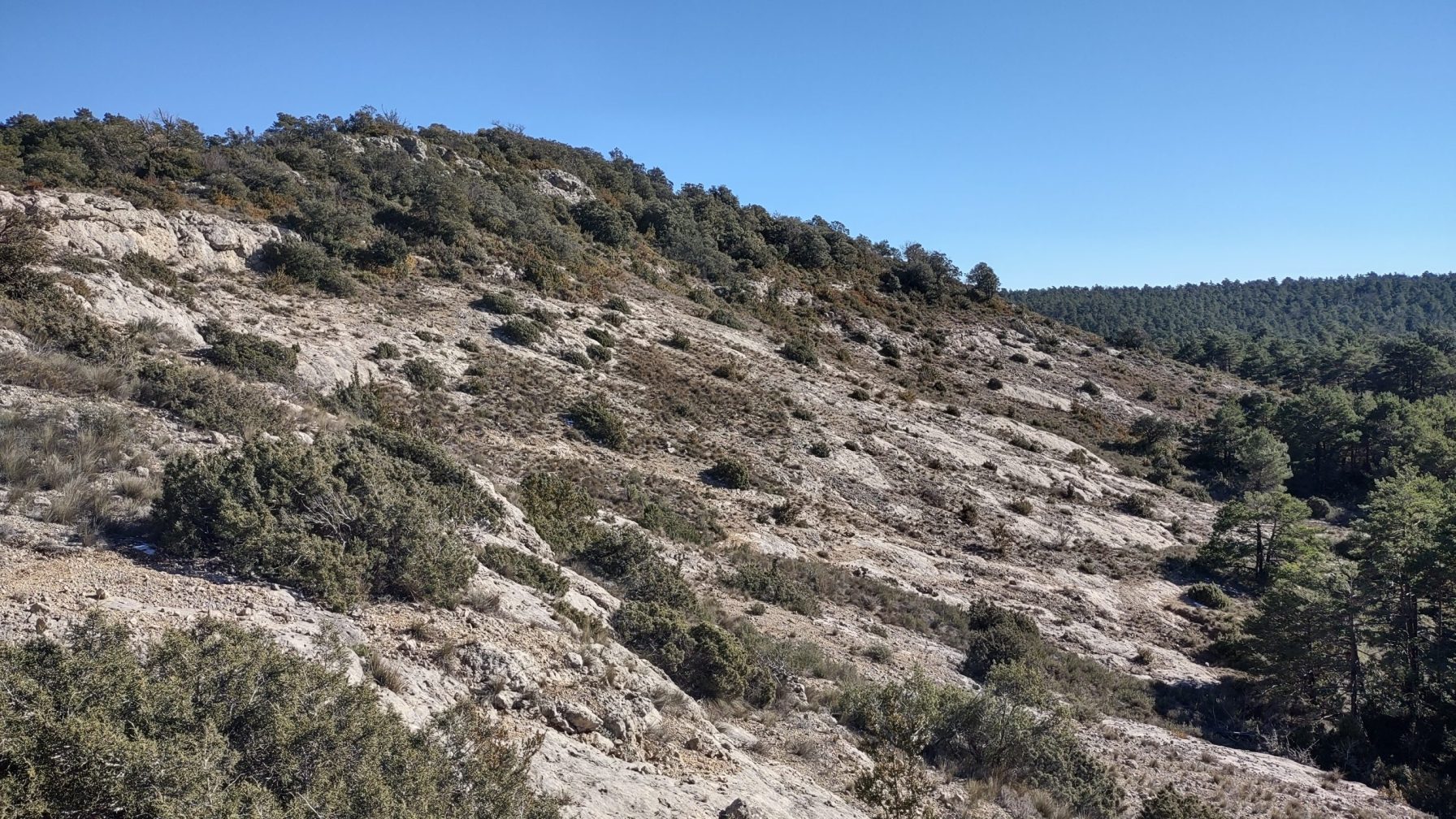 Example [#3345] | O-Map Wiki